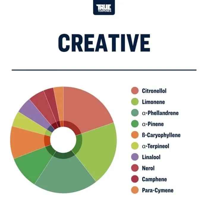 True Terpenes Terpology® Creativo (5 ml - 960 ml)