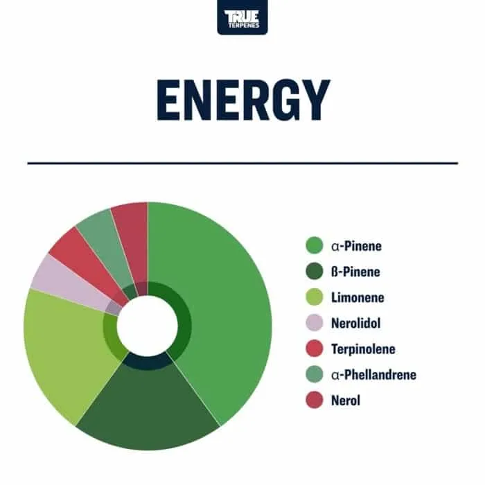 True Terpenes Terpology® Energy (5 ml - 960 ml)