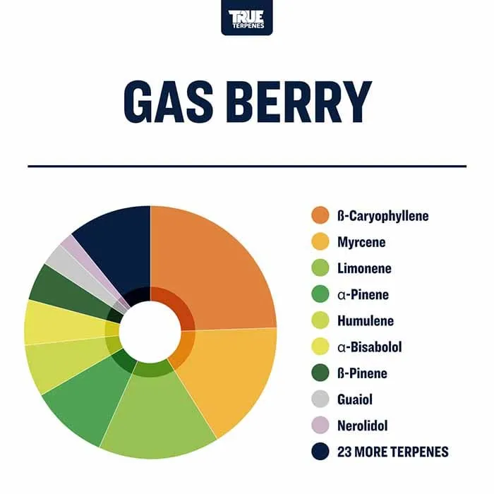 True Terpenes Жива Alchemy Gas Berry (5 мл - 960 мл)