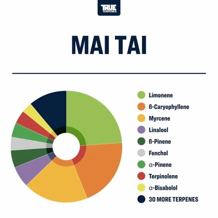True Terpenes Mai Tai con sabor a menta (5 ml - 960 ml)