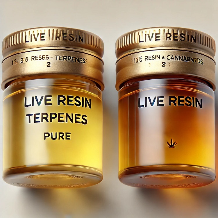 Live resin a live resin terpeny: vše, co potřebujete vědět